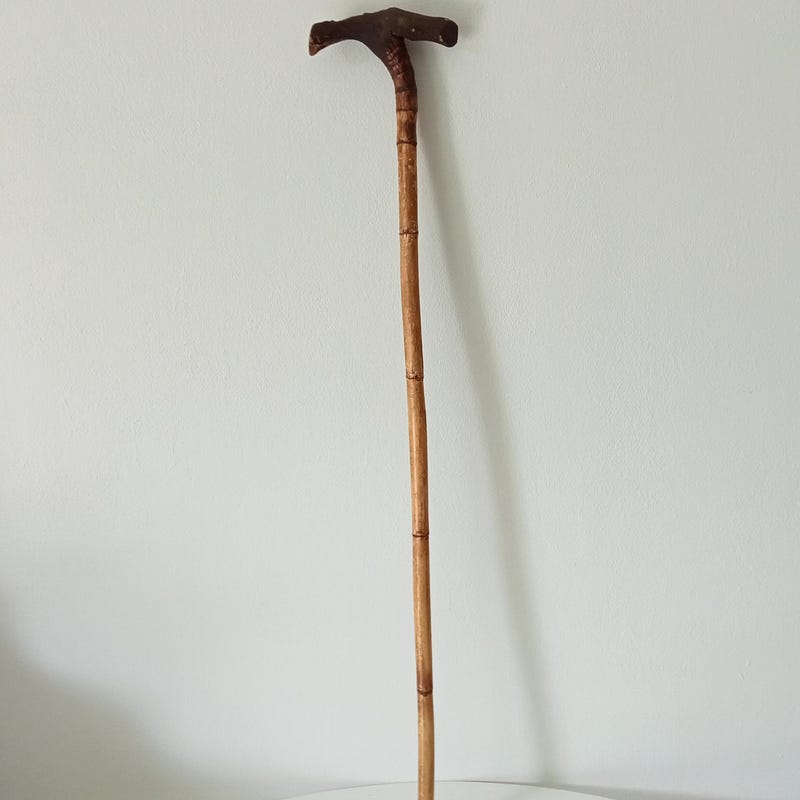 Bamboo Walking Stick - Etsy
