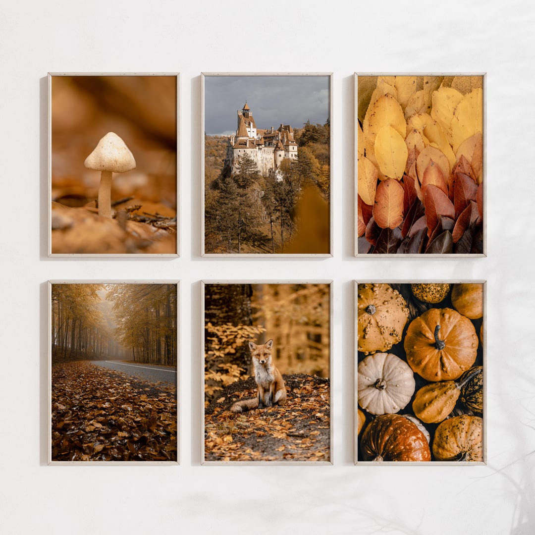 Fall Gallery Wall Art Autumn Set of 6 Prints Pumpkins Wall Art Rustic ...