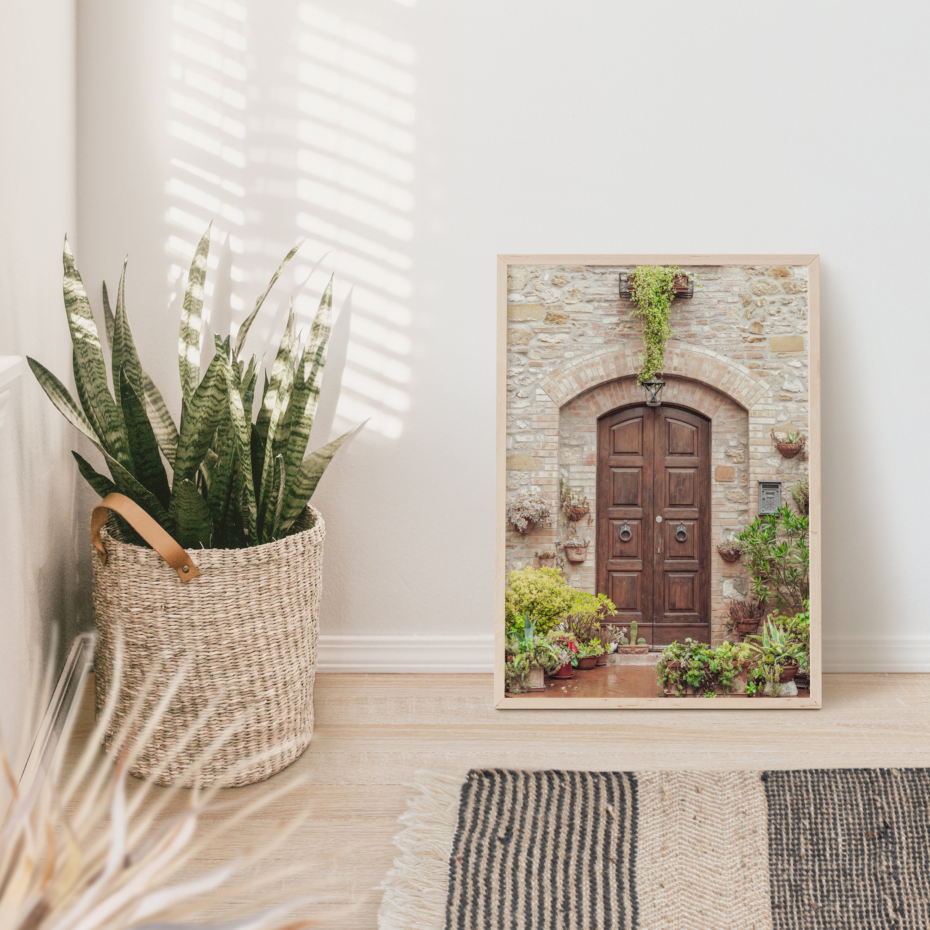 Wooden Door Succulents Plants - Doorway Print - Door Photography ...