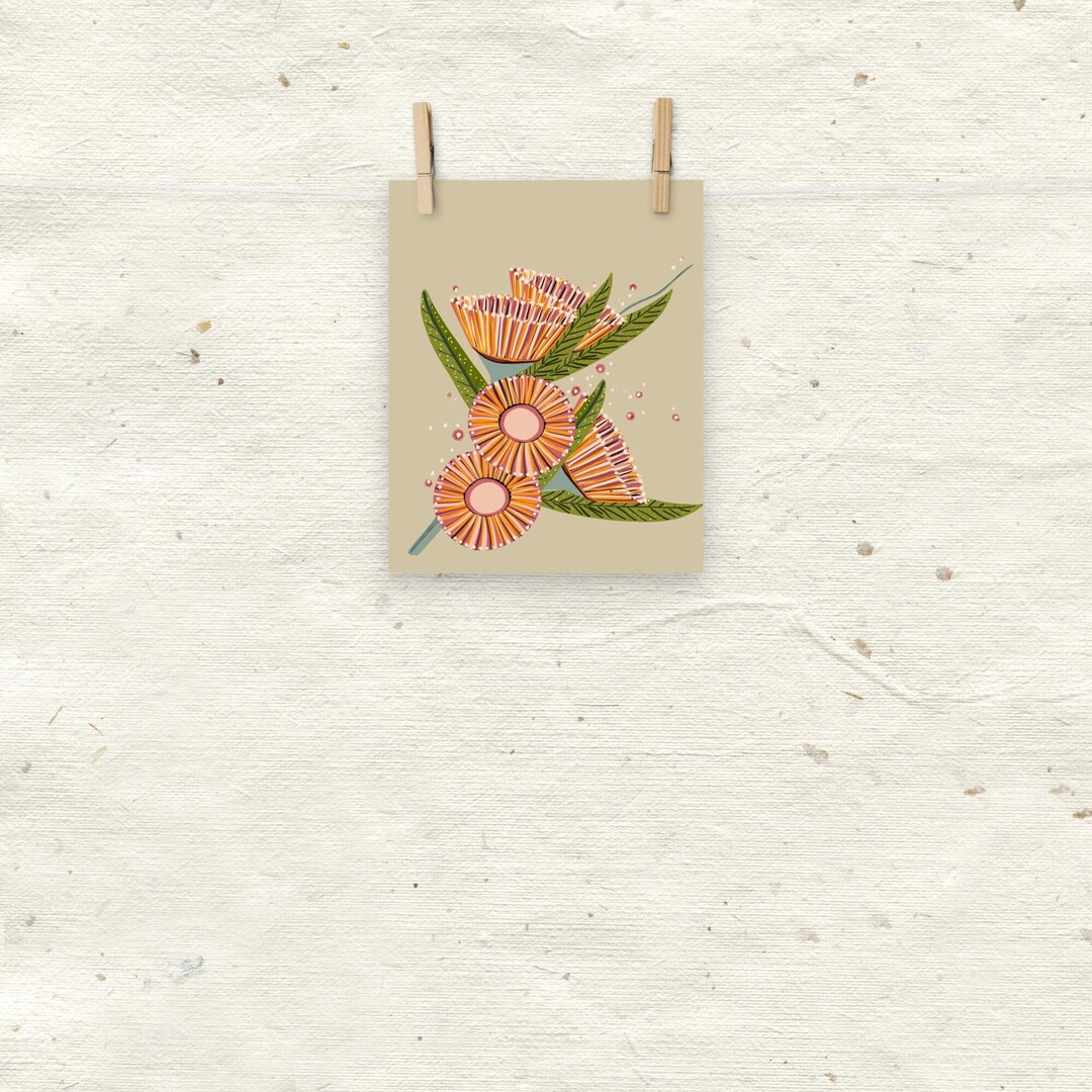 Eucalyptus Art Print Australian Native Flora Gum Nuts Print - Etsy