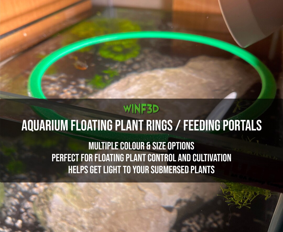 Freshwater Aquarium Plant Ring / Floating Flake Fish Feeding Portal ...