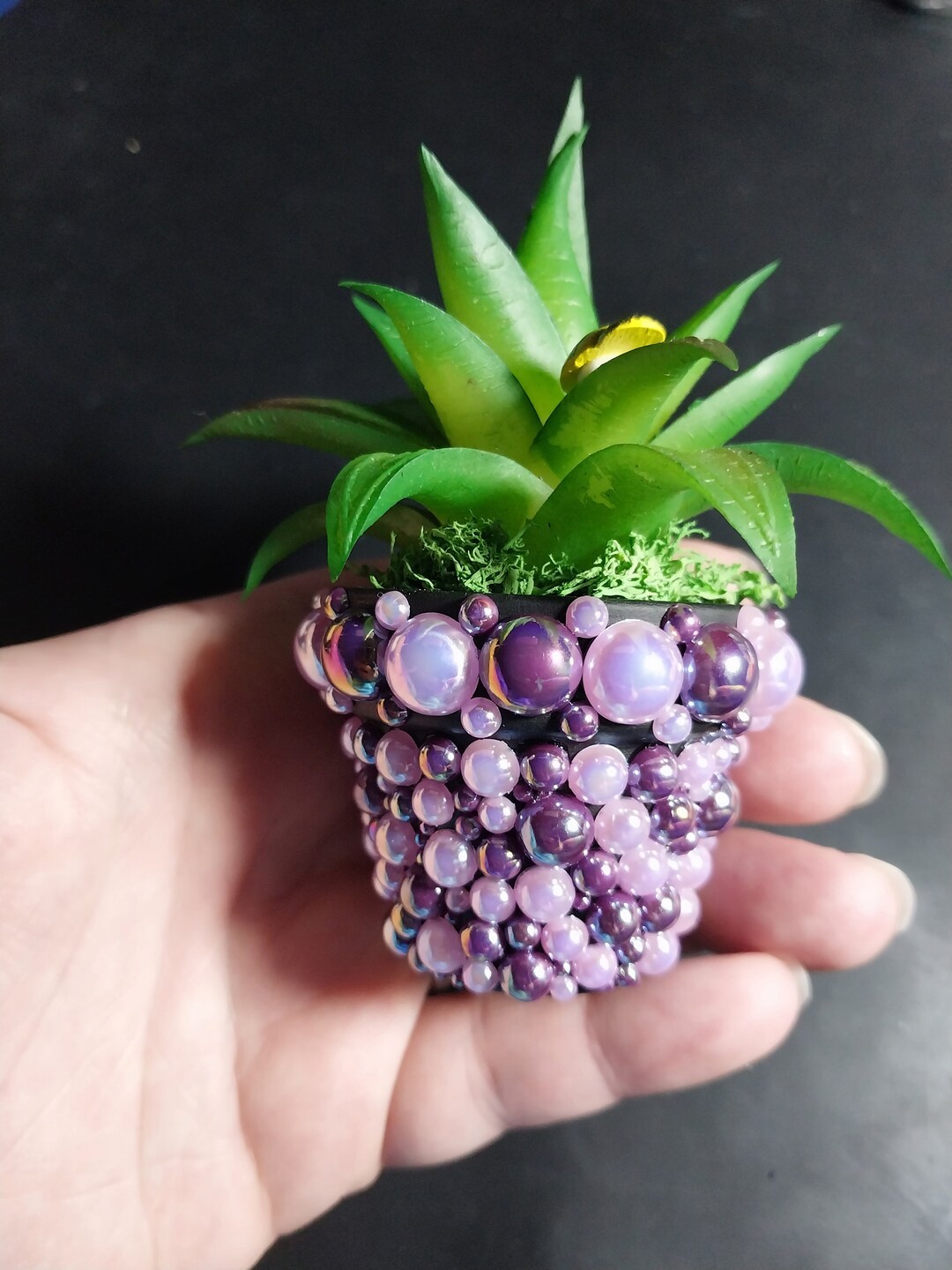 Mini Fake Succulent Pearl Flower Pot - Etsy