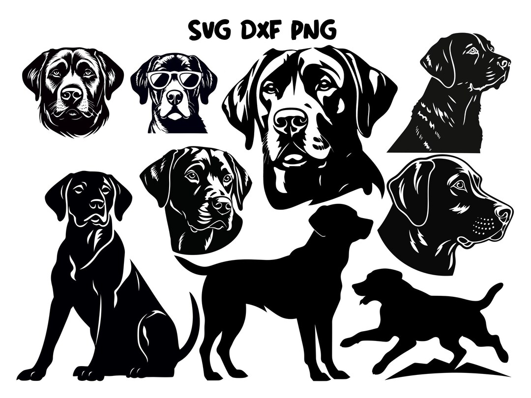 Labrador Retriever SVG Bundle Cut Files, Dog Breed Design, Cricut SVG ...