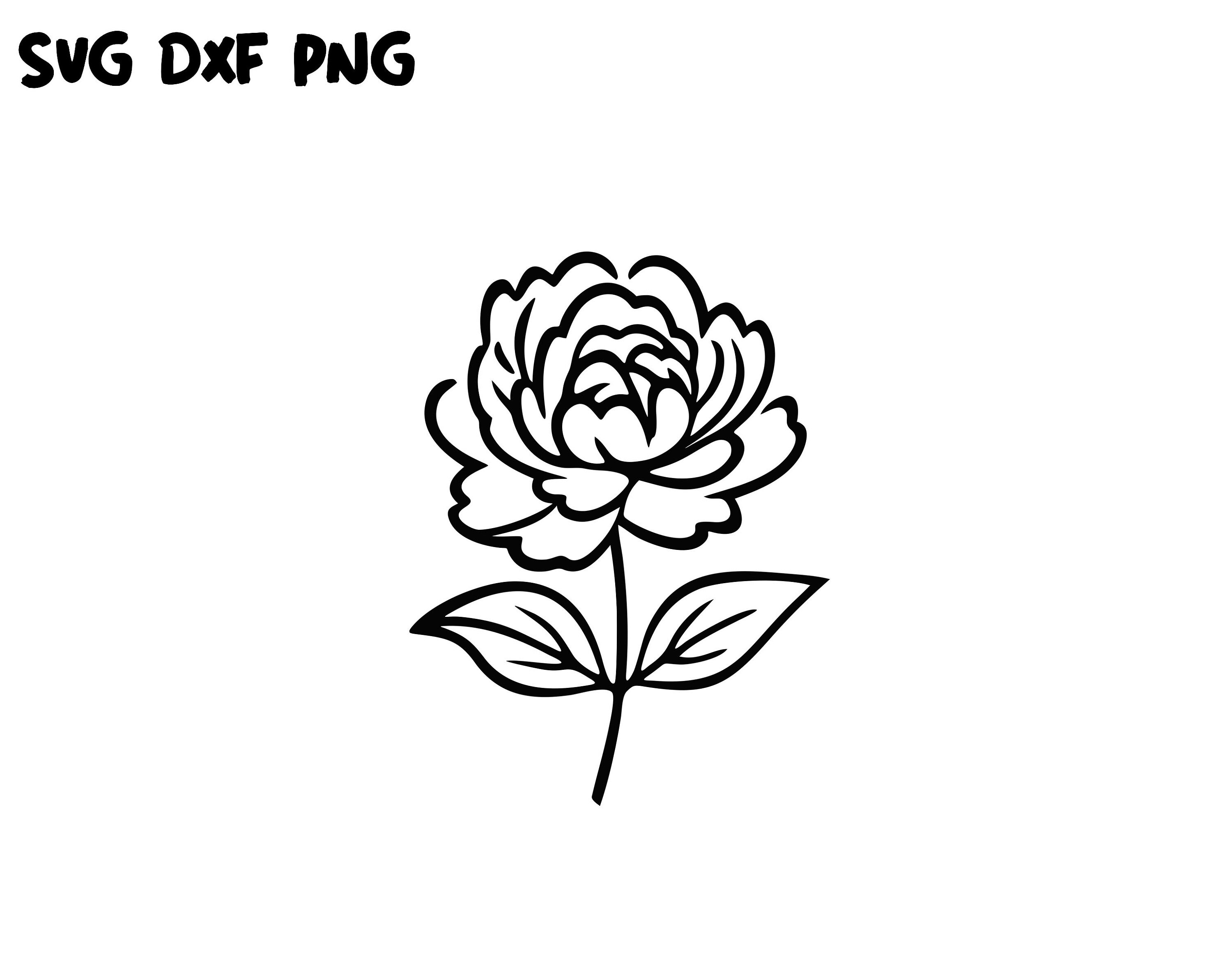 Peony Svg, Peony Svg, Peony Cricut Svg, Peony Svg Cut Files Peony ...