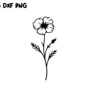 Poppy SVG Bundle Svg, Dxf, Png, Cut File, Flower Svg, Flower Svg File ...