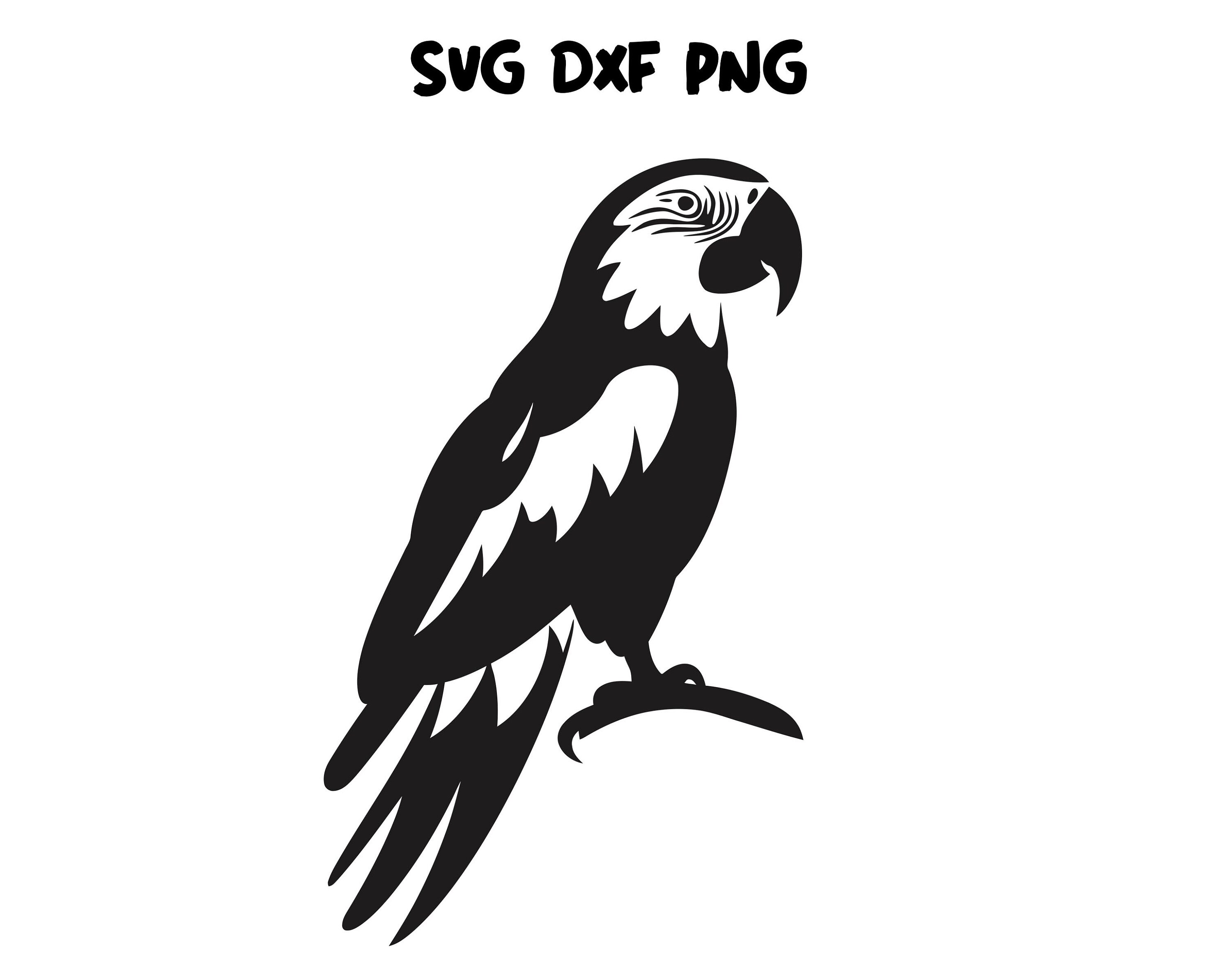 Adorable Parrot Svg, Bird Portrait Svg, Pet Svg, Macaw Svg - Silhouette ...