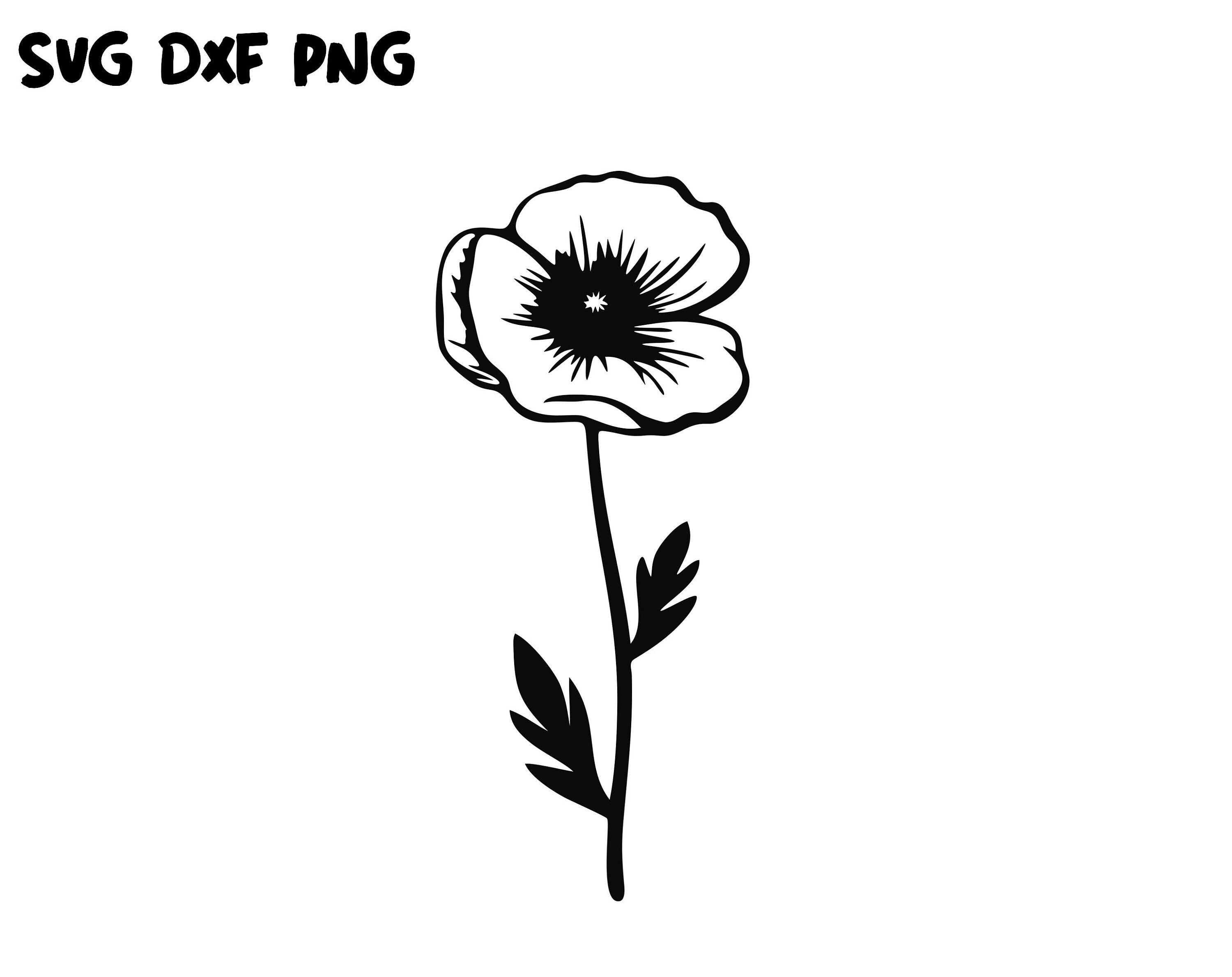 Poppy SVG Bundle Svg, Dxf, Png, Cut File, Flower Svg, Flower Svg File ...