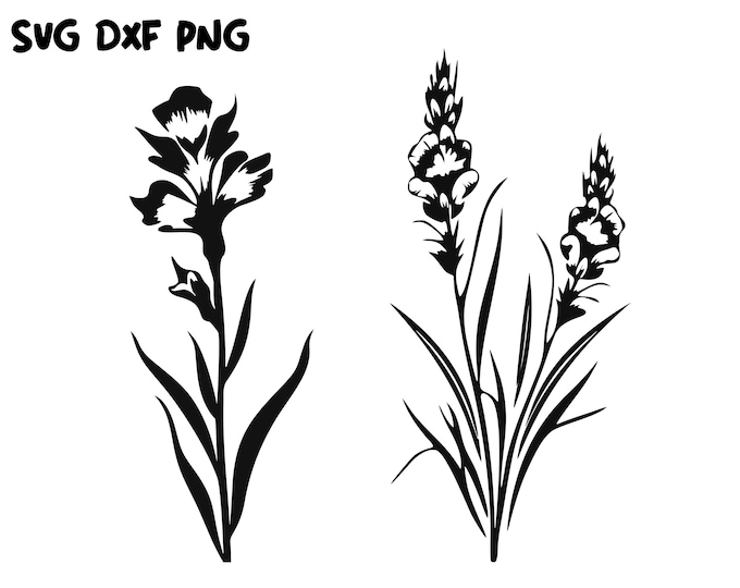 Gladiolus SVG, Leo Flower Cut File, August Plant DXF, Birth Month ...