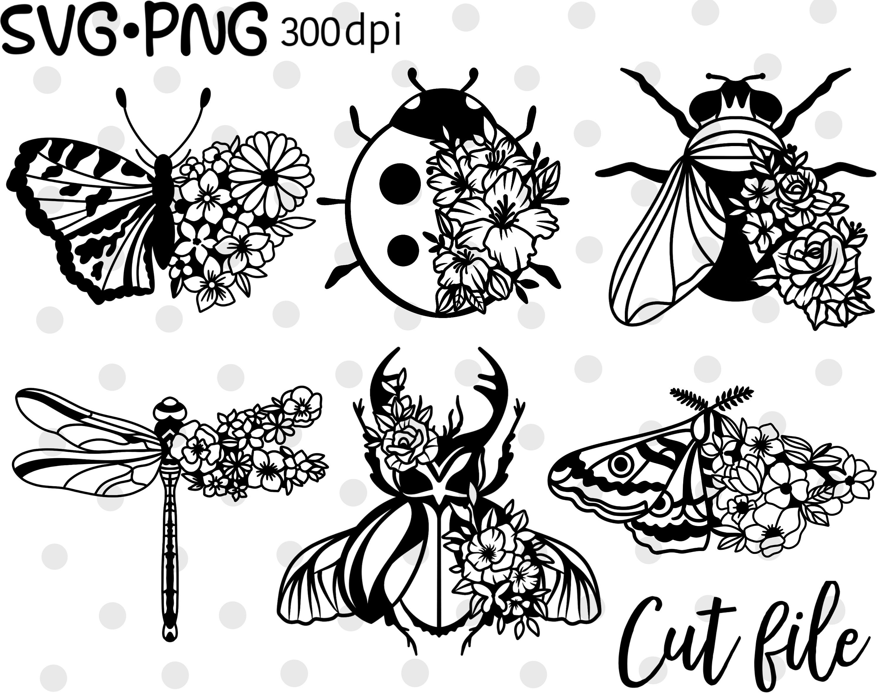 Insectes modèle svg Insect silhouette svg bundle Insect svg | Etsy