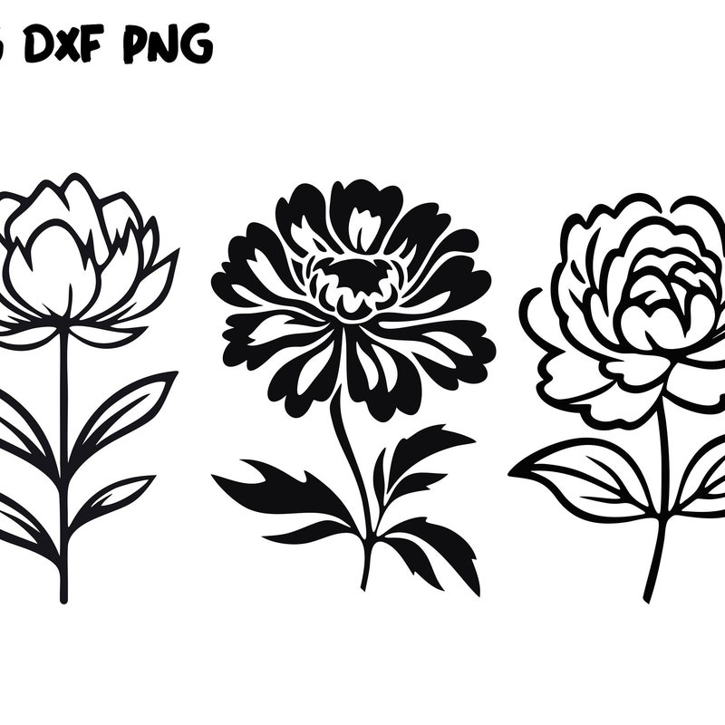 Peony Svg - Etsy
