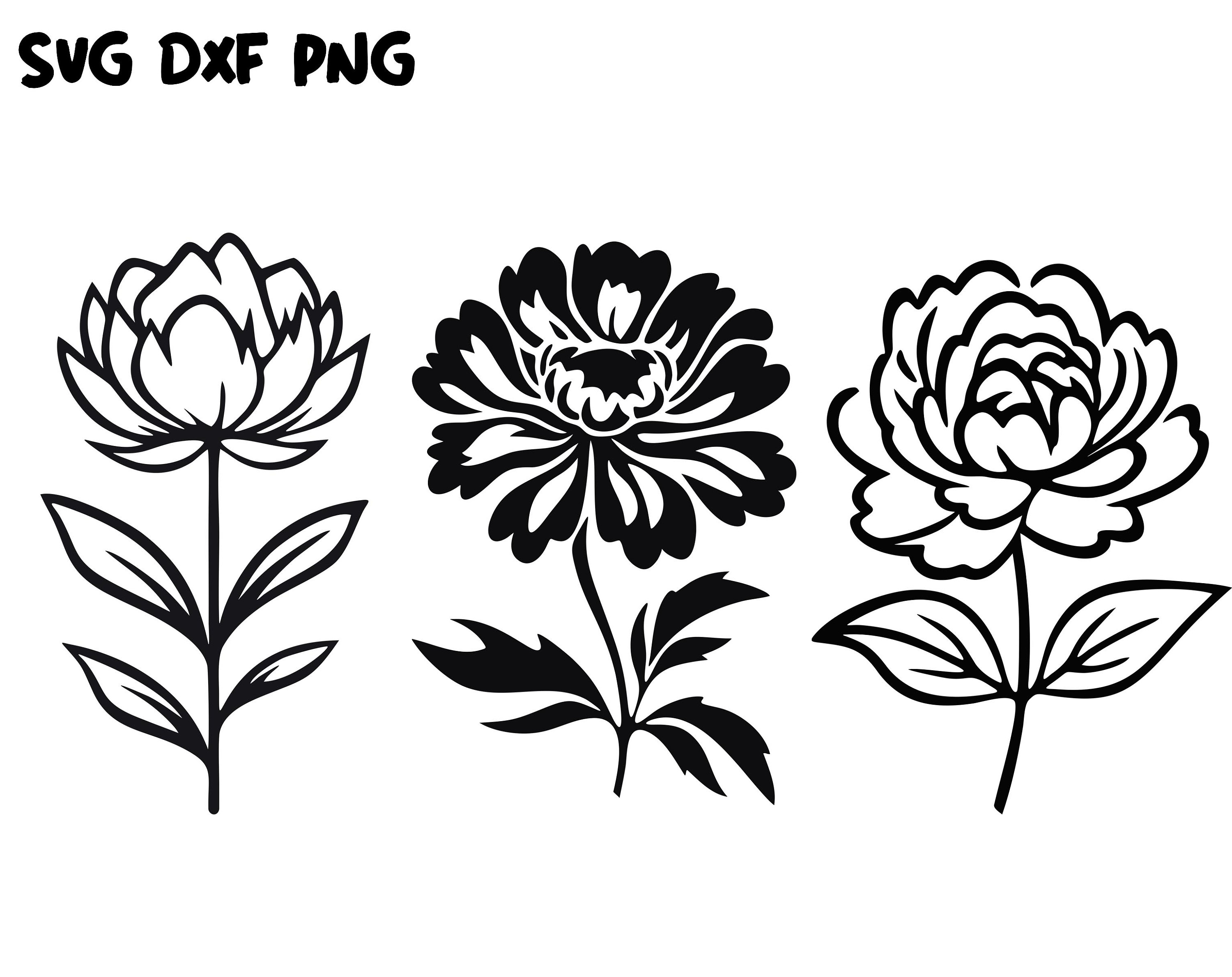 Peony Svg, Peony Svg, Peony Cricut Svg, Peony Svg Cut Files Peony ...