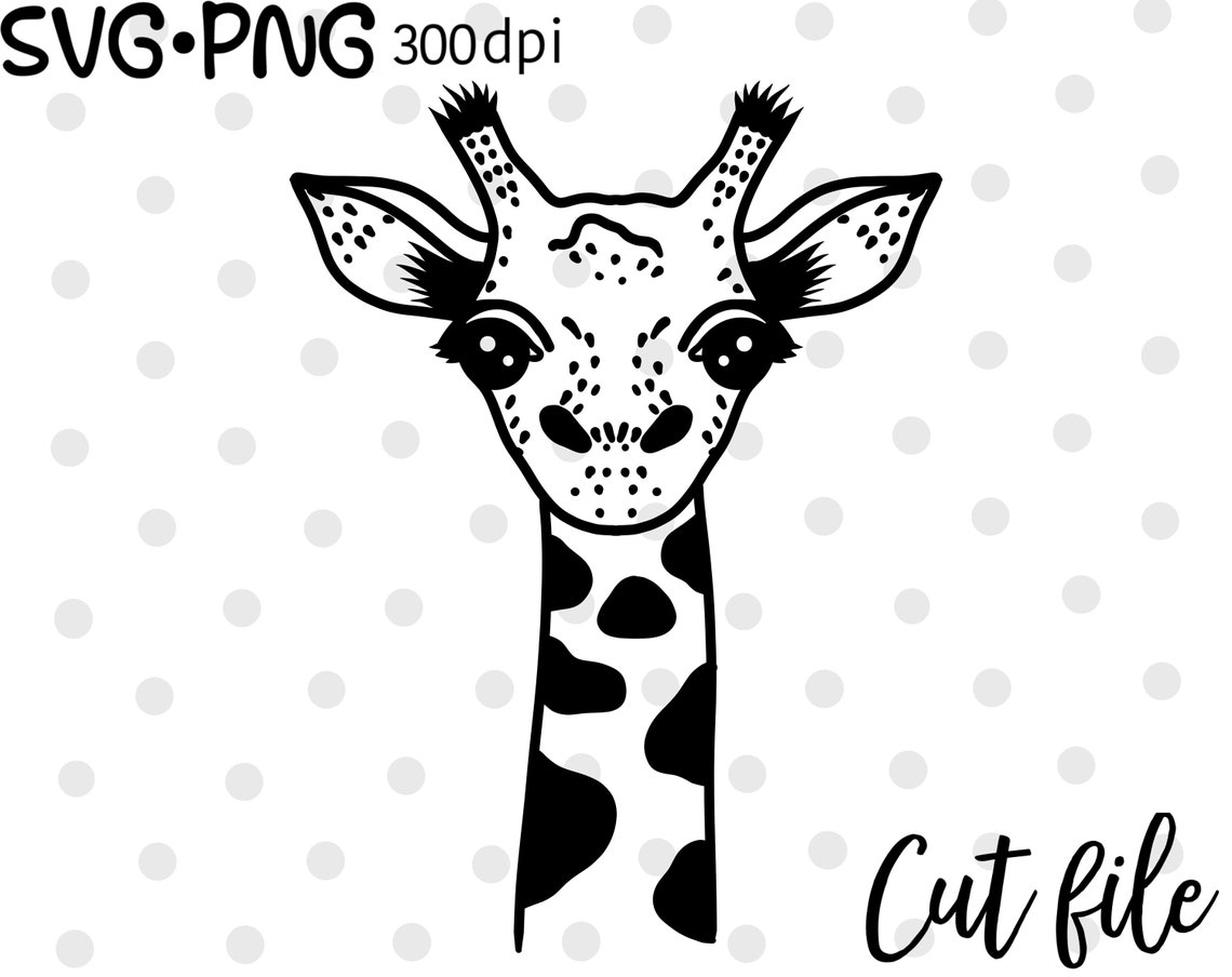 Giraffe Svg Giraffe Face Svg Fun Giraffe Svg Safari Kids | Etsy