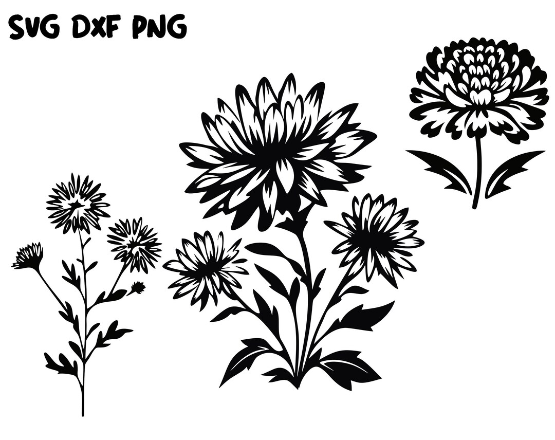 Birthmonth Flower SVG, Flower Svg, Birth Flowers Svg, Floral Svg Files ...