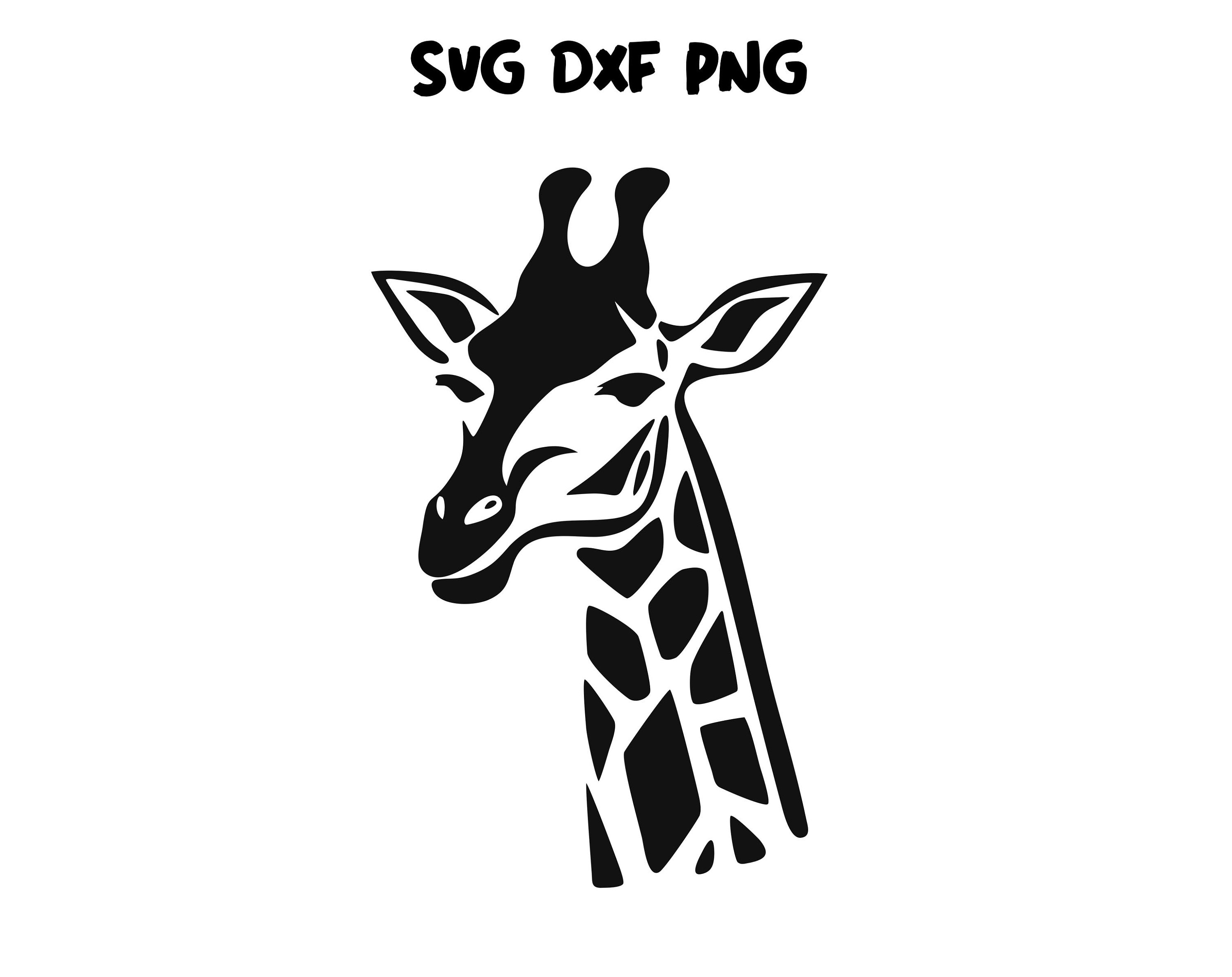 Giraffe Svg Giraffe Face Svg Fun Giraffe Svg Safari Kids - Etsy