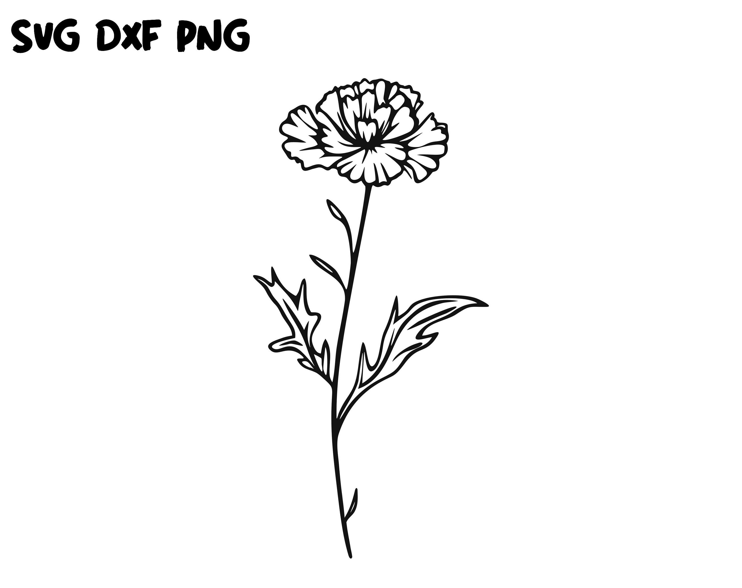 Marigold Flower SVG, Marigold SVG, Flower SVG, Marigold Flower Clipart ...