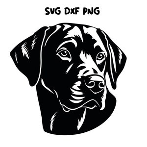Labrador Svg, Dog Svg Cricut, Black Labrador Retriever Face Clipart ...