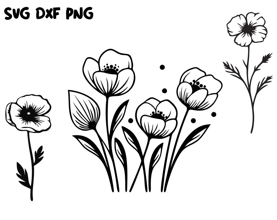 Poppy SVG Bundle Svg, Dxf, Png, Cut File, Flower Svg, Flower Svg File ...