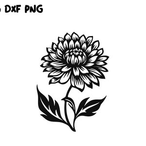 Aster SVG, September Birth Flower SVG, Birth Month Flower Outline ...