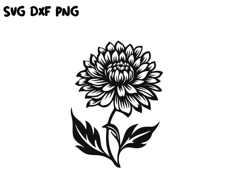 Aster SVG, September Birth Flower SVG, Birth Month Flower Outline ...