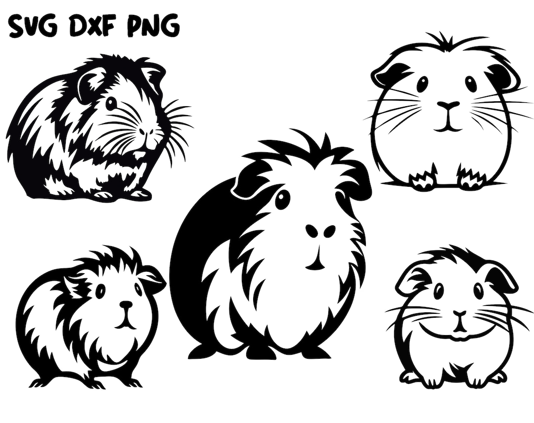 Guinea Pig Svg Files for Cricut, Cute Pet Clipart, Domestic Animal ...