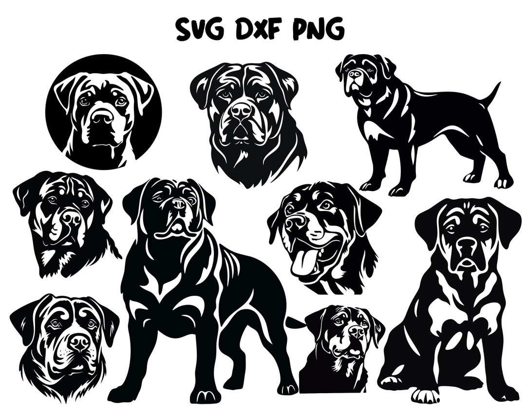 Rottweiler Svg, Dog Svg File Cricut, Rott Face Clipart, Rottie Body ...