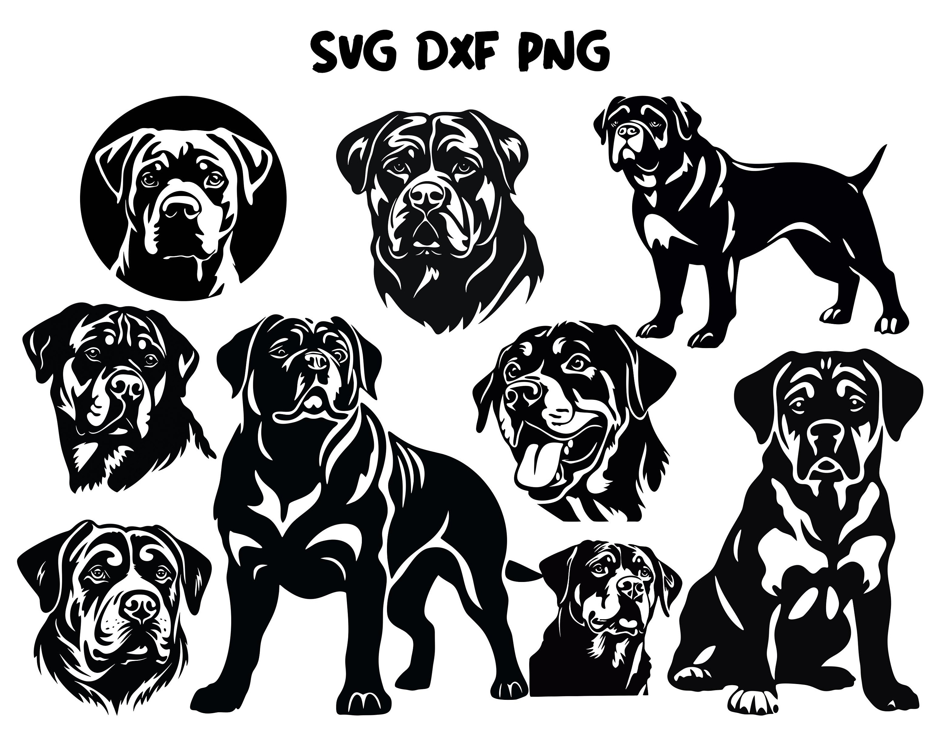 Rottweiler Svg Dog Svg File Cricut Rott Face Clipart Rottie - Etsy