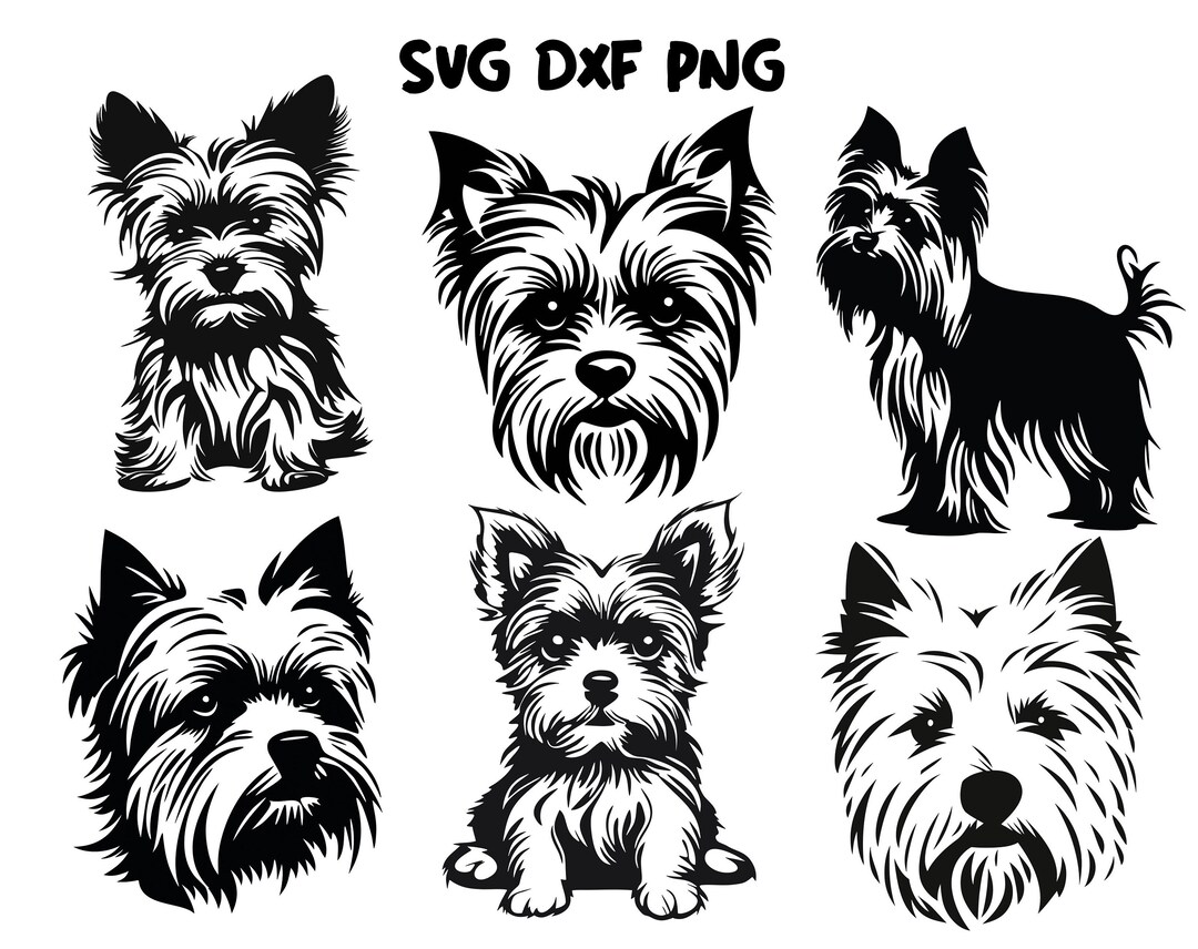 Rottweiler Svg, Dog Svg File Cricut, Rott Face Clipart, Rottie Body ...