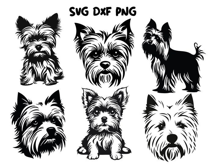 Rottweiler Svg, Dog Svg File Cricut, Rott Face Clipart, Rottie Body ...