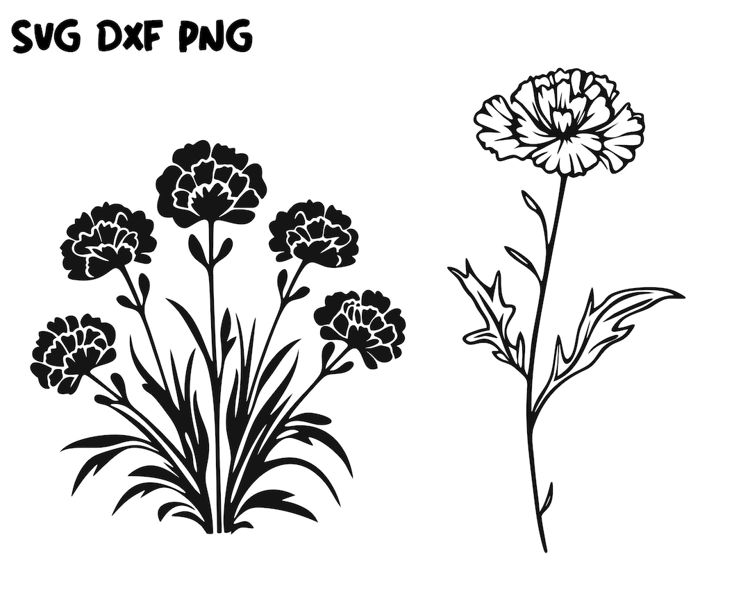 Marigold Flower SVG, Marigold SVG, Flower SVG, Marigold Flower Clipart ...