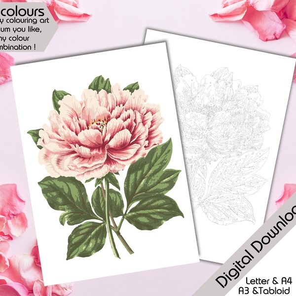 Paint by Numbers Vintage - Etsy