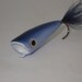 Saltwater Fly Popper for Flyfishing - Etsy