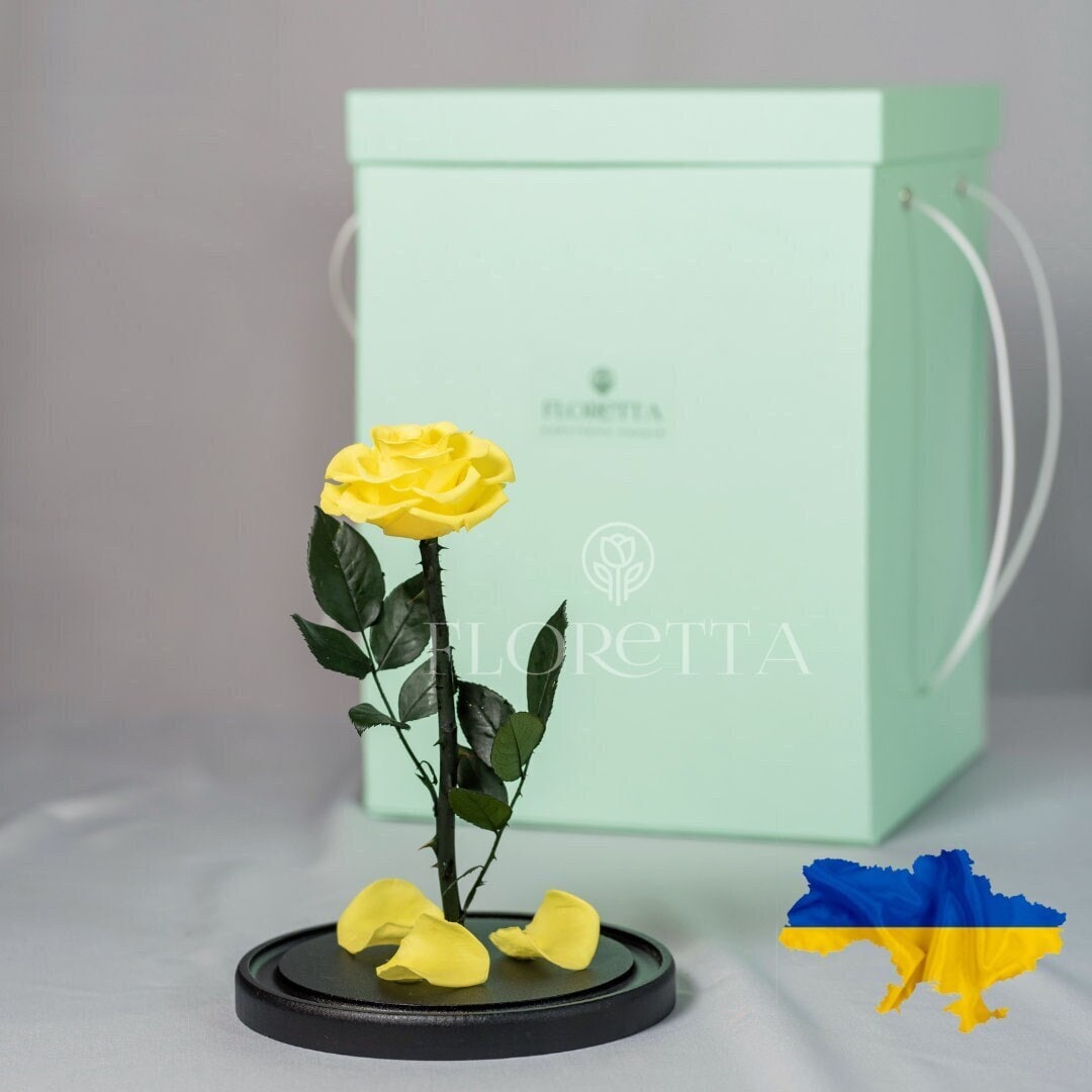 Long Lasting Rose,preserved Rose in Glass,forever Roses,preserved Rose ...