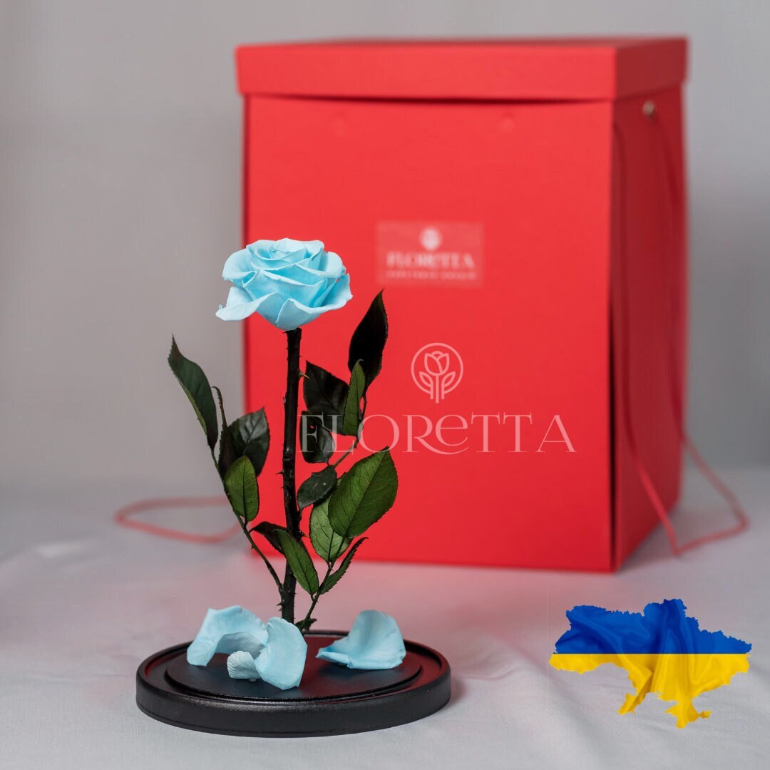 Blue Rose in Glass Dome,50 Ct Eternal Rose,ukraine Sellers,preserved ...