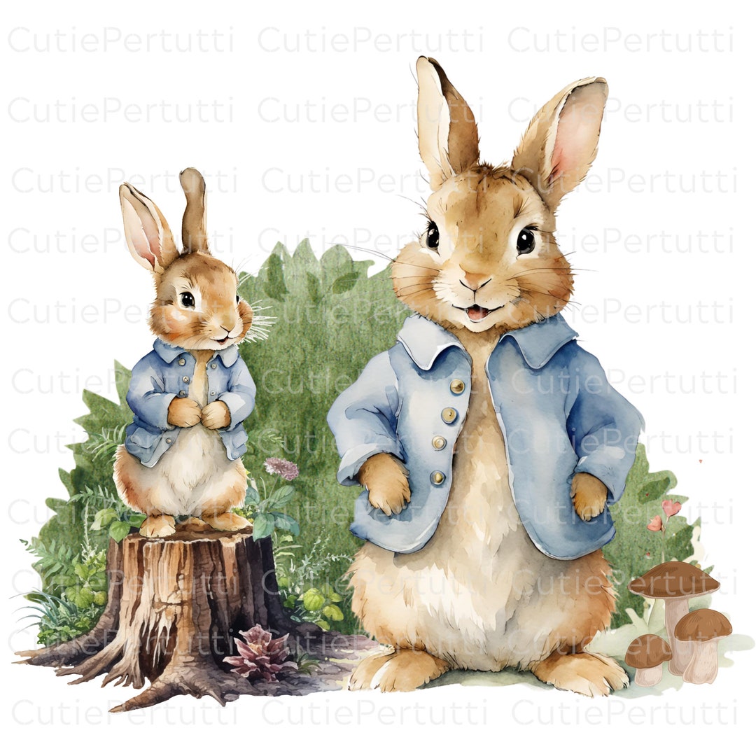 Peter Rabbit PNG Design, Peter Rabbit Sublimation, Peter Rabbit T Shirt ...