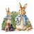 Peter Rabbit PNG Design, Peter Rabbit Sublimation, Peter Rabbit T Shirt ...