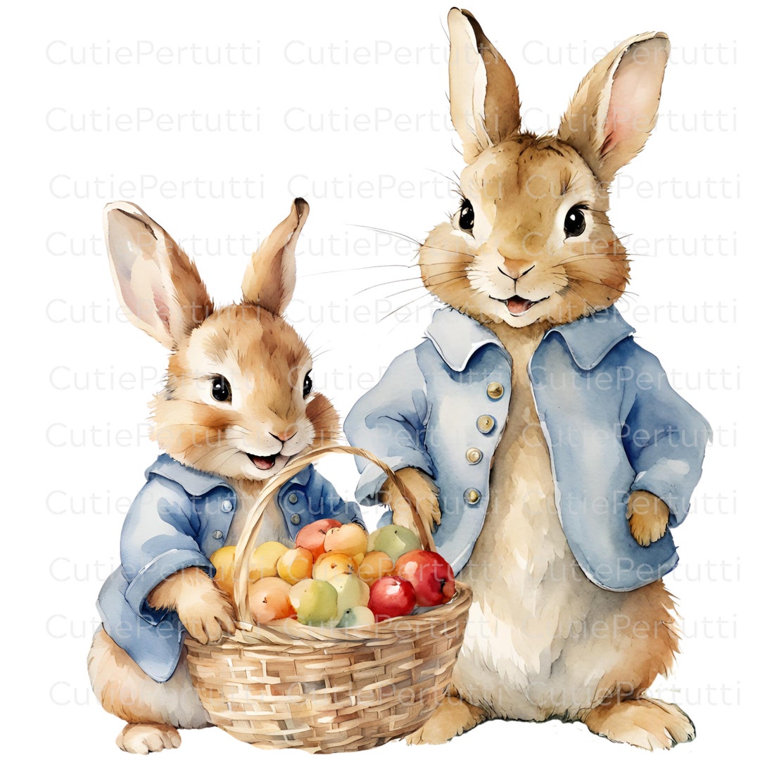 Peter Rabbit PNG Design, Peter Rabbit Sublimation, Peter Rabbit T Shirt ...