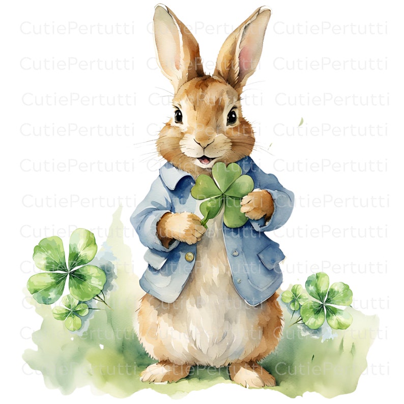 Peter Rabbit PNG Design, Peter Rabbit Sublimation, Peter Rabbit T Shirt ...