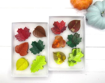 Autumn Party Favors | Etsy