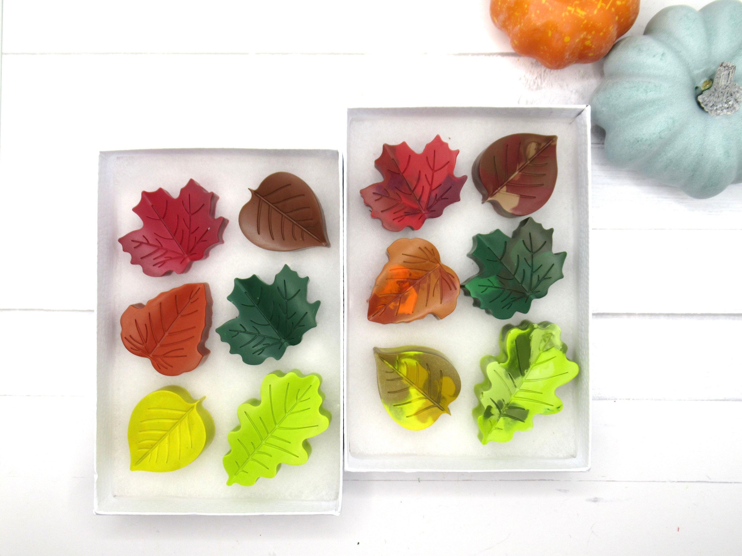FALL LEAF Crayons Gift box Leaf Crayons Fall Decor | Etsy