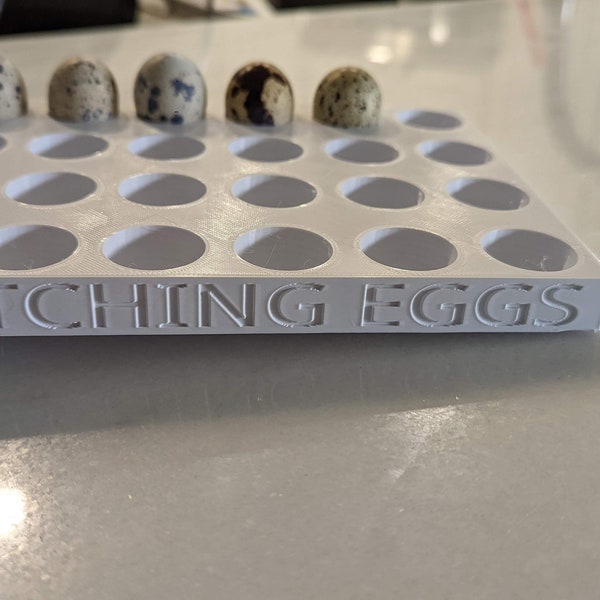 Quail Hatching Tray - Etsy