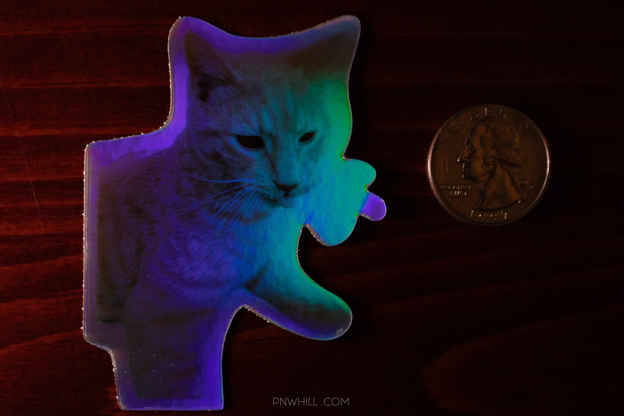 Holographic Kitty Sticker Cute Rainbow Cat Decal for Cat Lovers and Pet ...