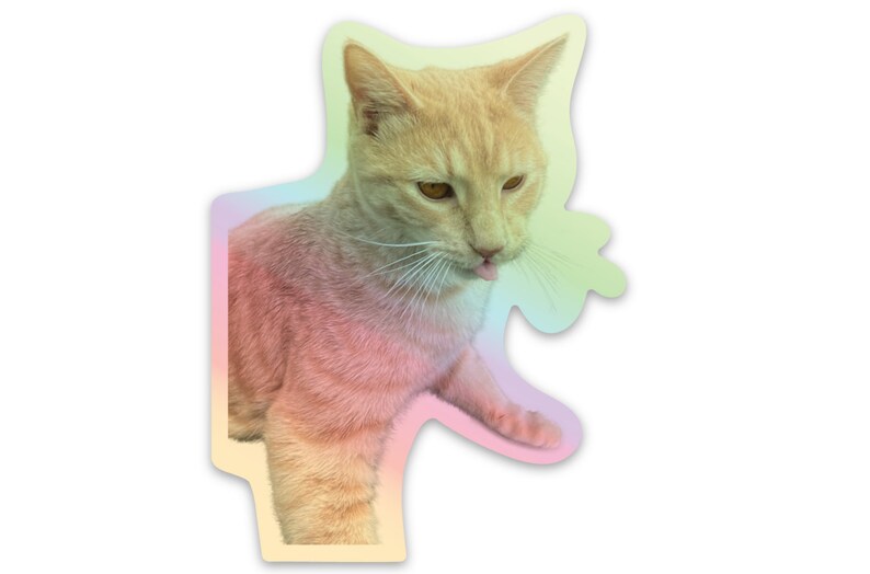Holographic Kitty Sticker - Cute Rainbow Cat Decal for Cat Lovers and ...