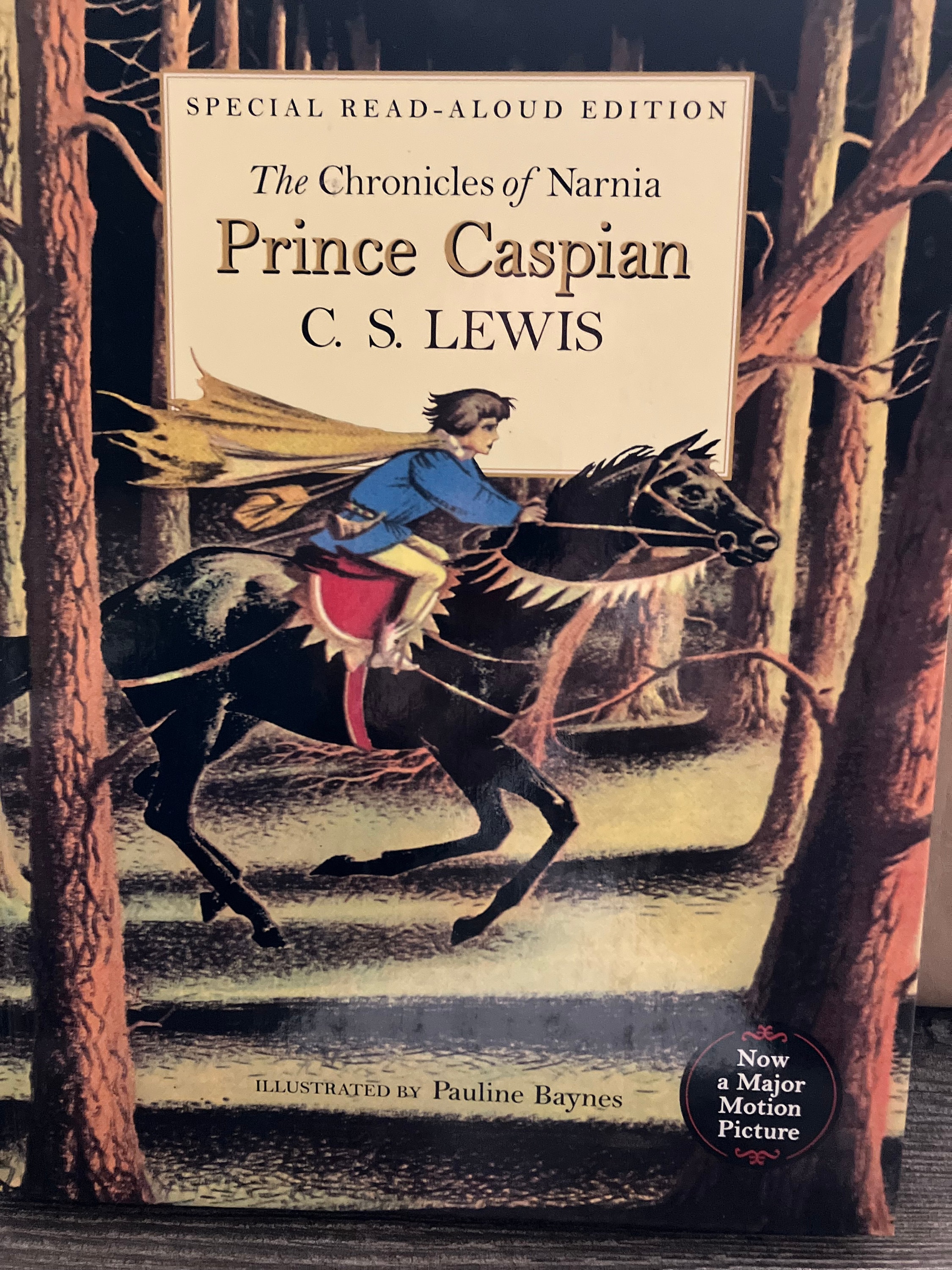 Prince Caspian From Narnia Now