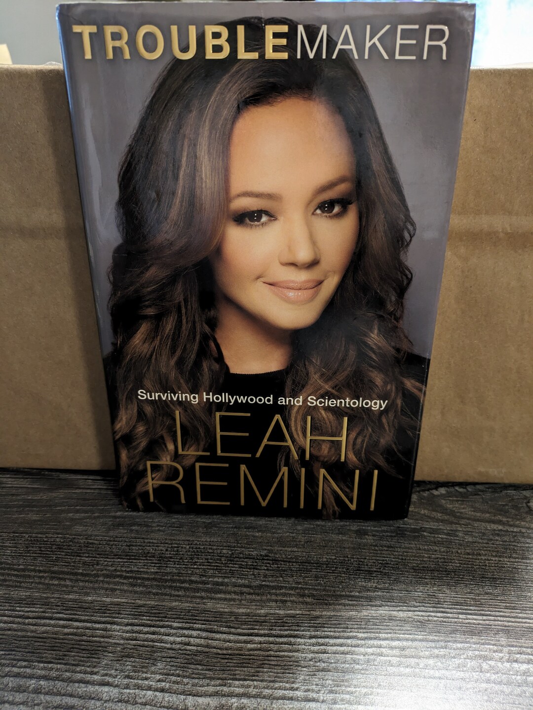 Troublemaker: Surviving Hollywood and Scientology Hardcover November 3 ...