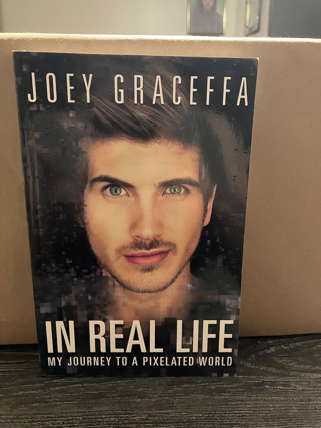 In Real Life: My Journey to a Pixelated World Paperback May 19, 2015 by ...