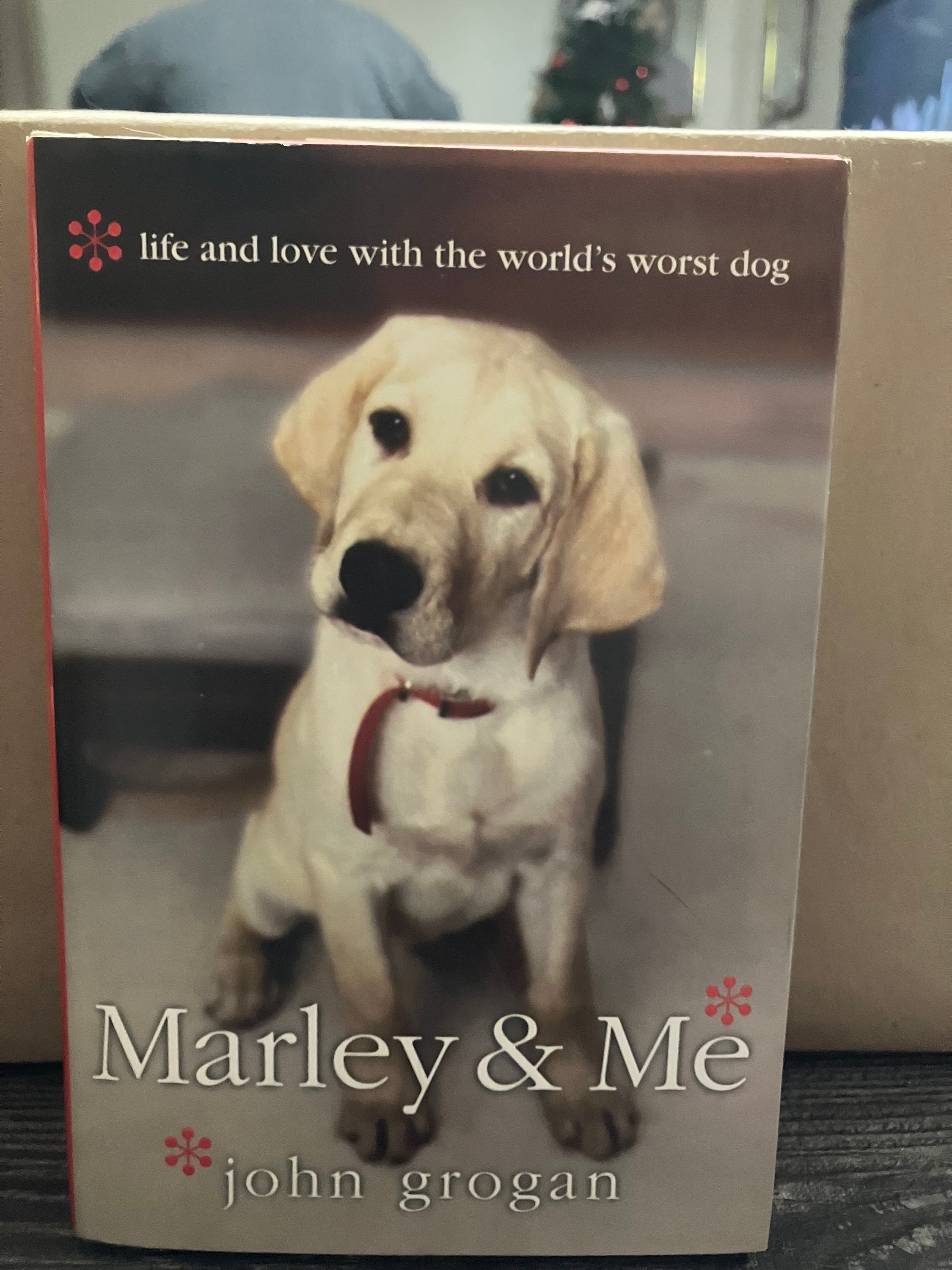 What Happened To The Dog In Marley And Me