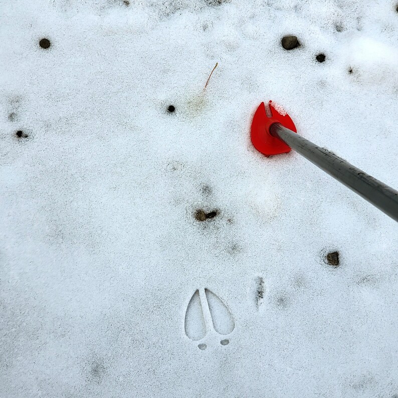 Reindeer Hoof Reindeer Footprints Christmas - Etsy