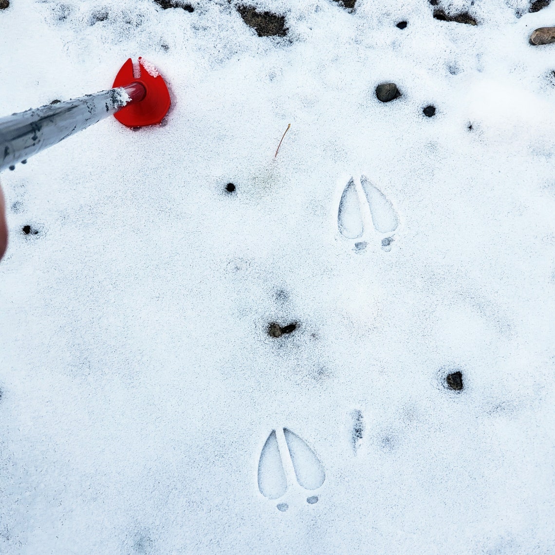 Reindeer Hoof, Reindeer Footprints, Christmas - Etsy