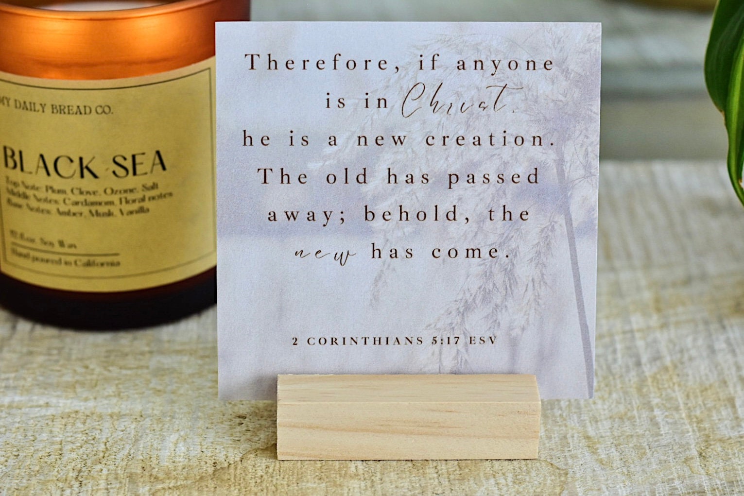 Scripture Cards | Encouraging Verse Cards | Scripture Card Set of 12 ...