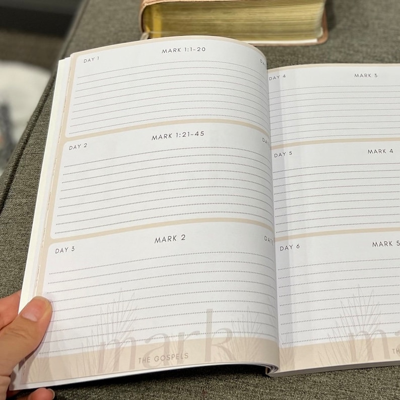 Bible Plan and Journal the Gospels Reading Plan and Journal - Etsy
